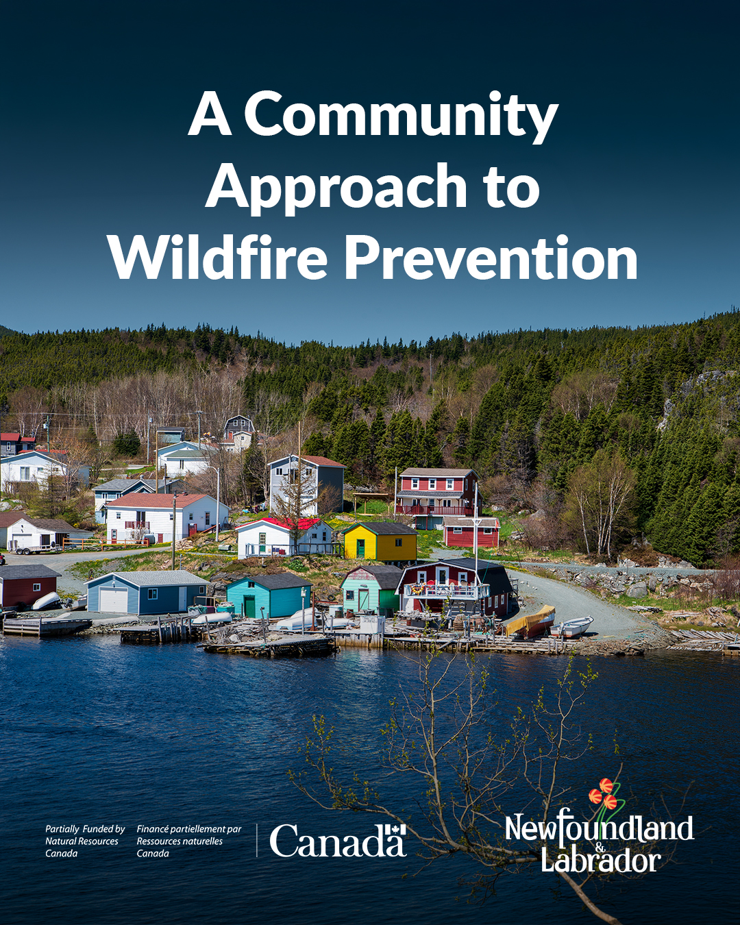 Community Wildfire Prevention and Mitigation Program - Forestry ...