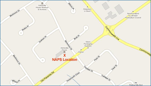 Mount Pearl - NAPS Station 010401 - Municipal and Community Affairs