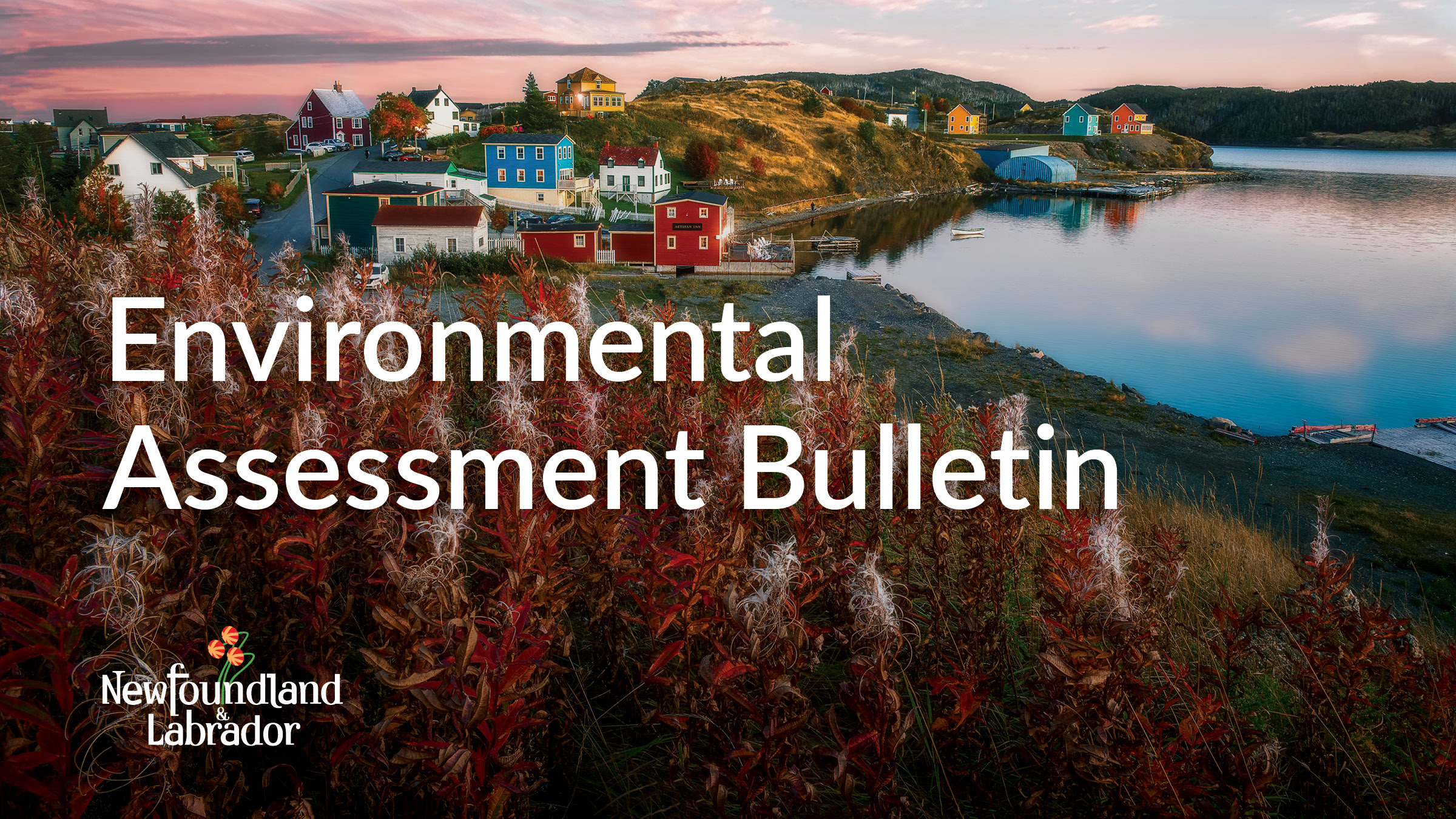 Environmental Assessment Bulletin - News Releases